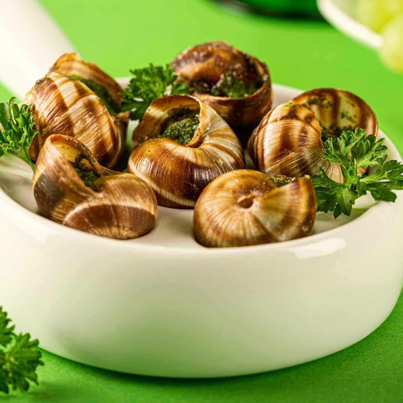 Escargot: O prato exótico que vale a pena experimentar - O Mundo é Seu